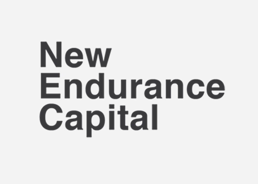 new-endurance-capital - WSC & Company